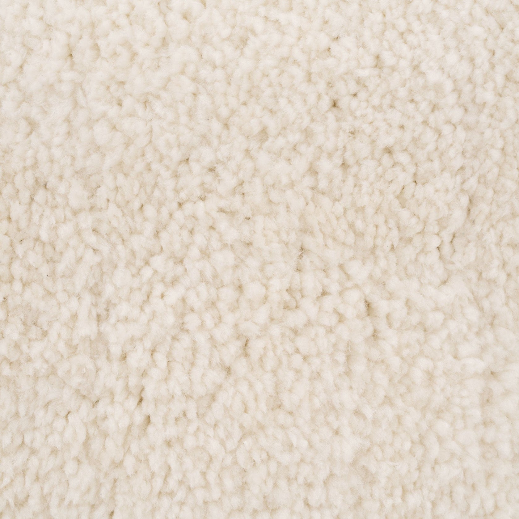 Premium Cream Shaggy Rug - Lace | Shaggy Rugs | Kukoon Rugs Online