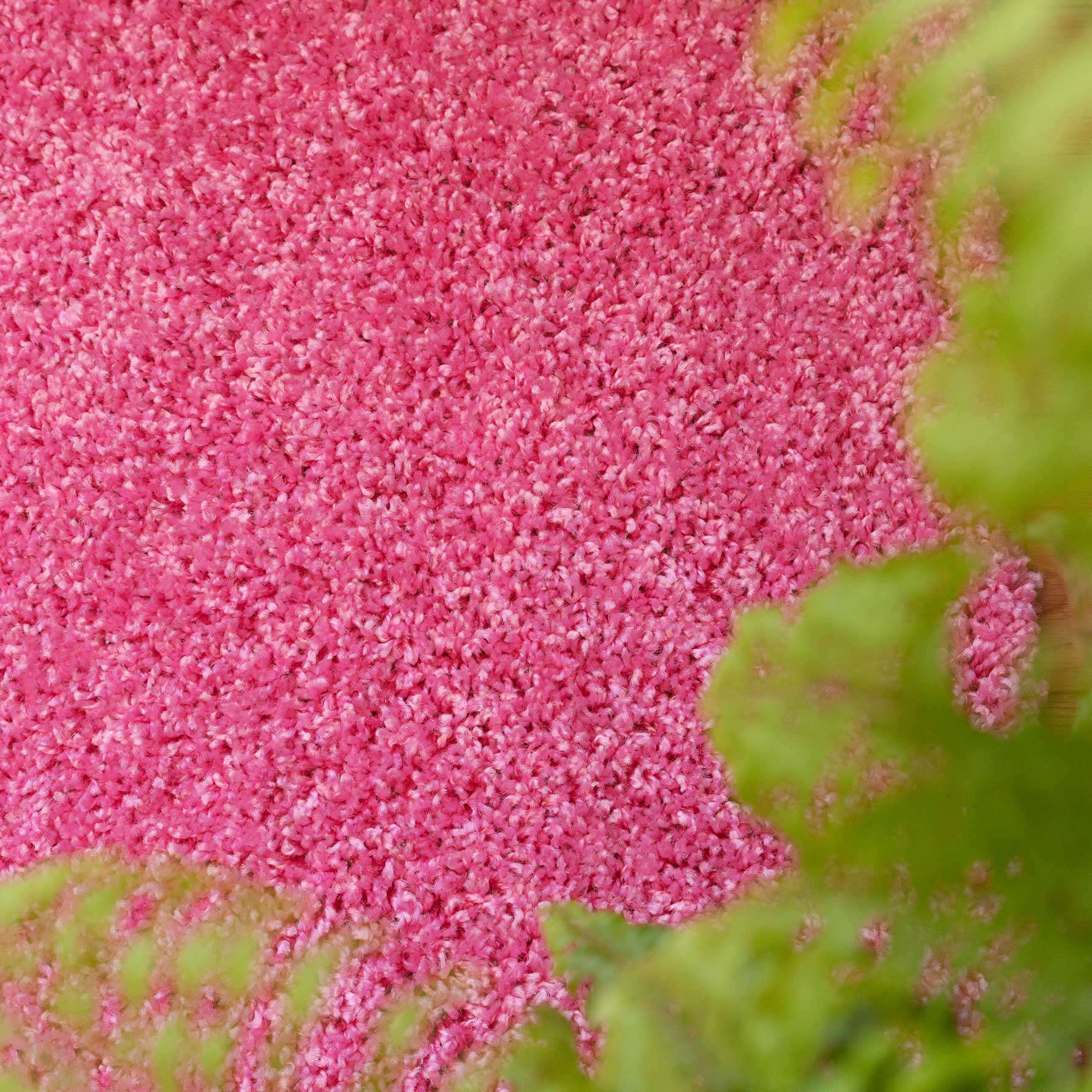 Barbie Pink Shaggy Circle Rug | Living Room Rugs | Kukoon Rugs Online