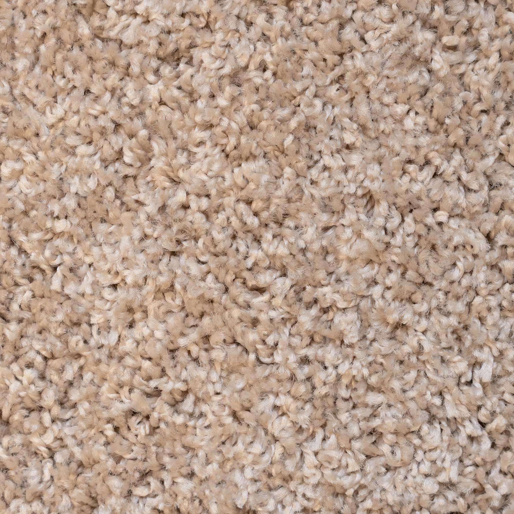 Oatmeal Shaggy Runner Rug | Runner Rugs | Kukoon Rugs Online
